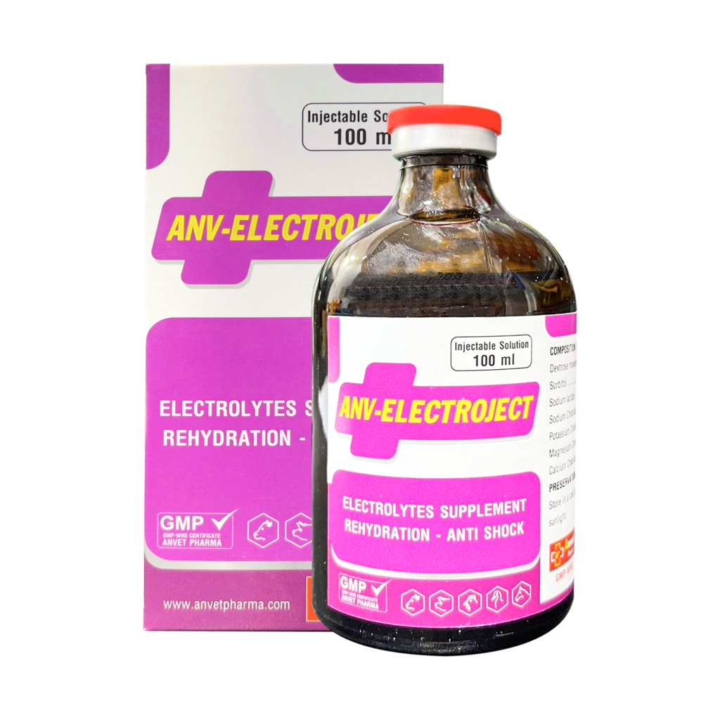 ANV Electroject Injection | Vitamin Vet | UAE's Largest Veterinary Pharmacy